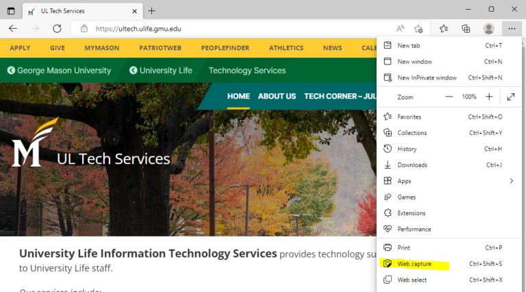 Microsoft EDGE – Full Page Capture – Technology Services